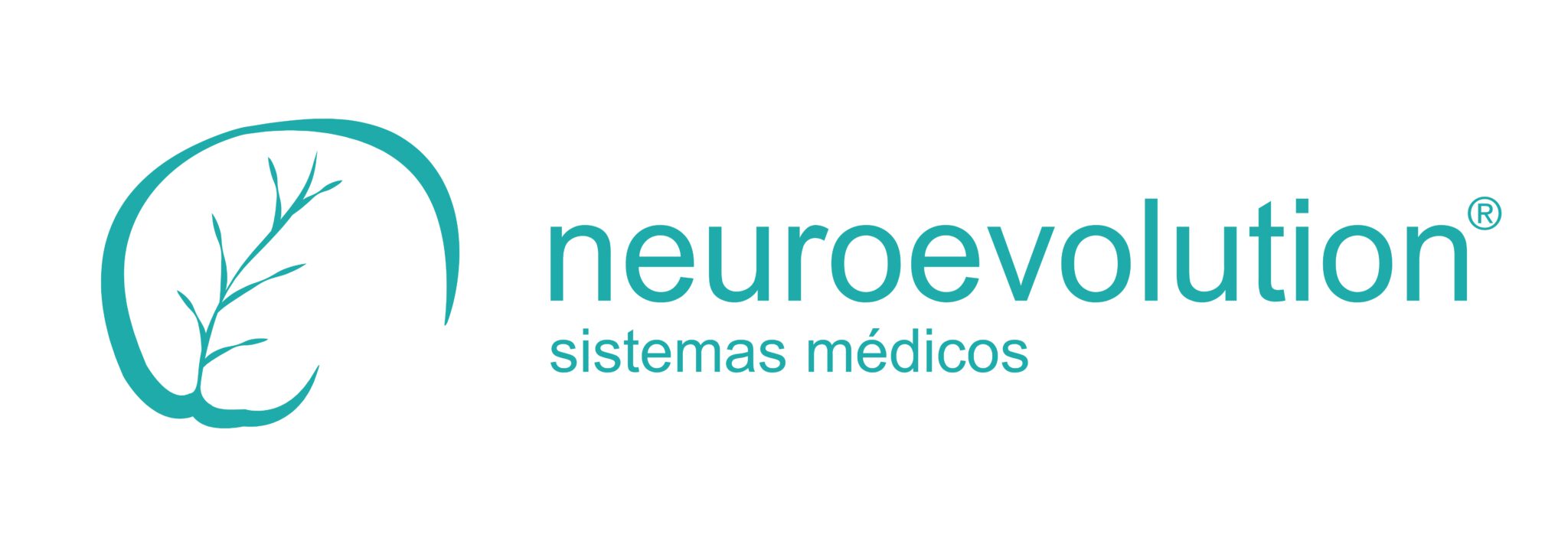 BESA® | Brain Electrical Source Analysis: Contact > Distributors